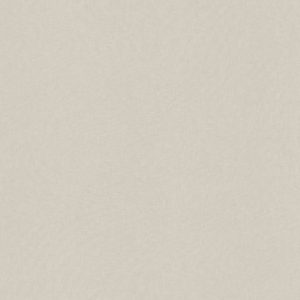 Melamine Colors | Lifespan Cabinets & Closets